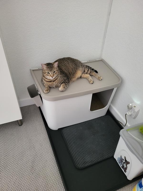 FRISCO Multi-Function Covered Cat Litter Box, 29-in, Without Tray ...