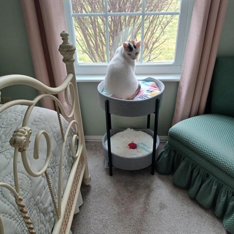 FRISCO Modern Elevated Wrought Iron Cat Bed with Eyelash Cushion, One ...