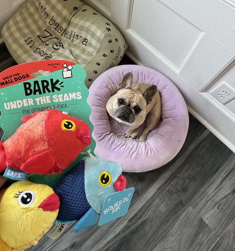 BARK The Groupers 3-in-1 Squeaky Plush Dog Toy - Chewy.com