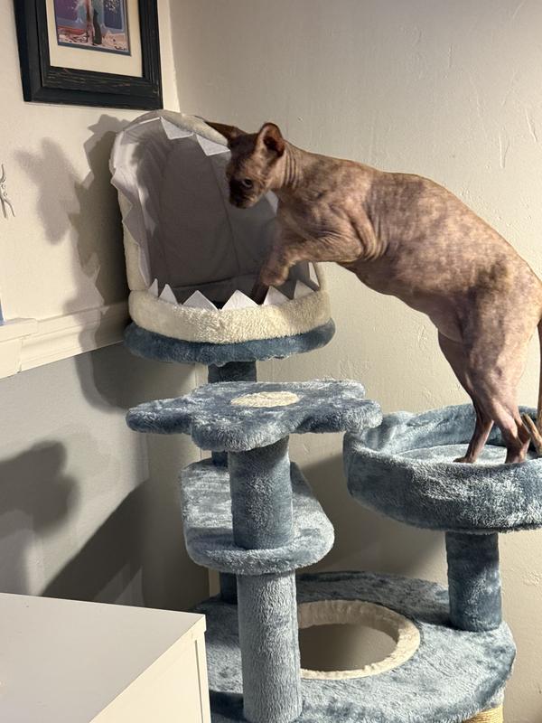 YAHEETECH Ocean-Themed Multi-Level Cat Tree, 45.5-in - Chewy.com