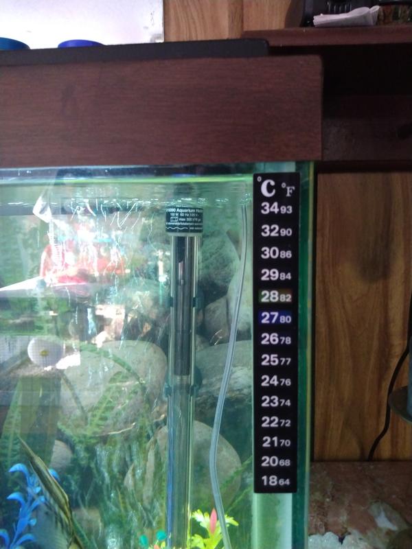 SUNGROW Betta Fish Thermometer Sticker, Temperature Strip for Small ...