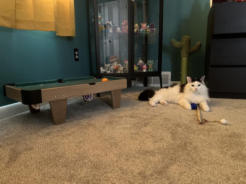 VETRESKA Meownooker Cat Toy Set - Chewy.com