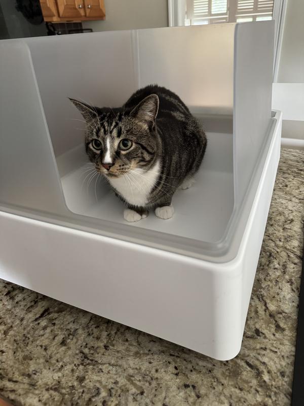 TUFT + PAW Cove Modern Cat Litter Box with Dustpan & Litter Scoop ...