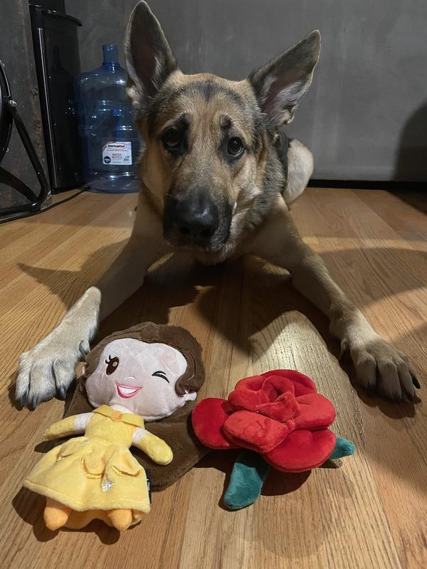 Discontinued - DISNEY Princess Belle Plush Squeaky Dog Toy - Chewy.com