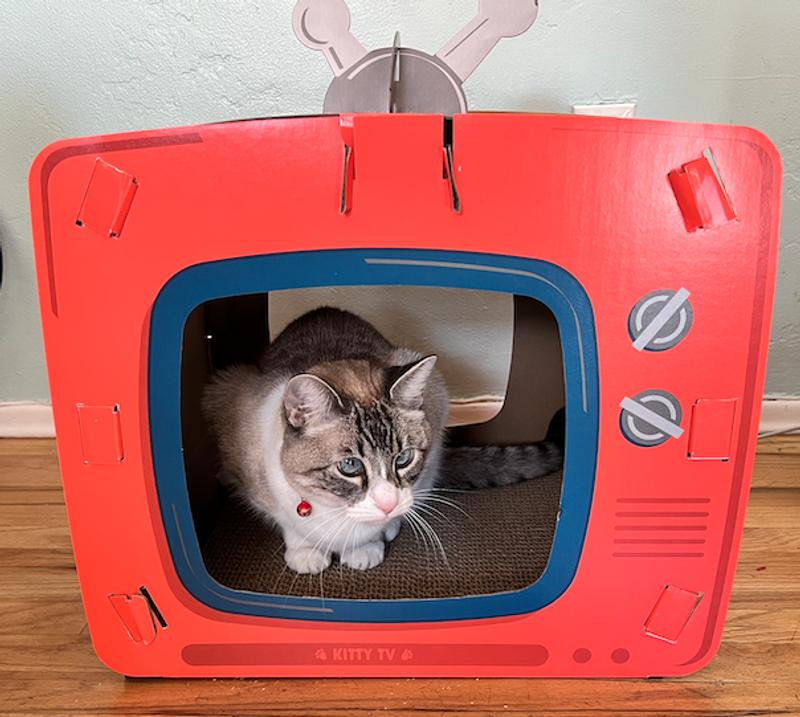 FRISCO TV Set Cardboard Cat House - Chewy.com