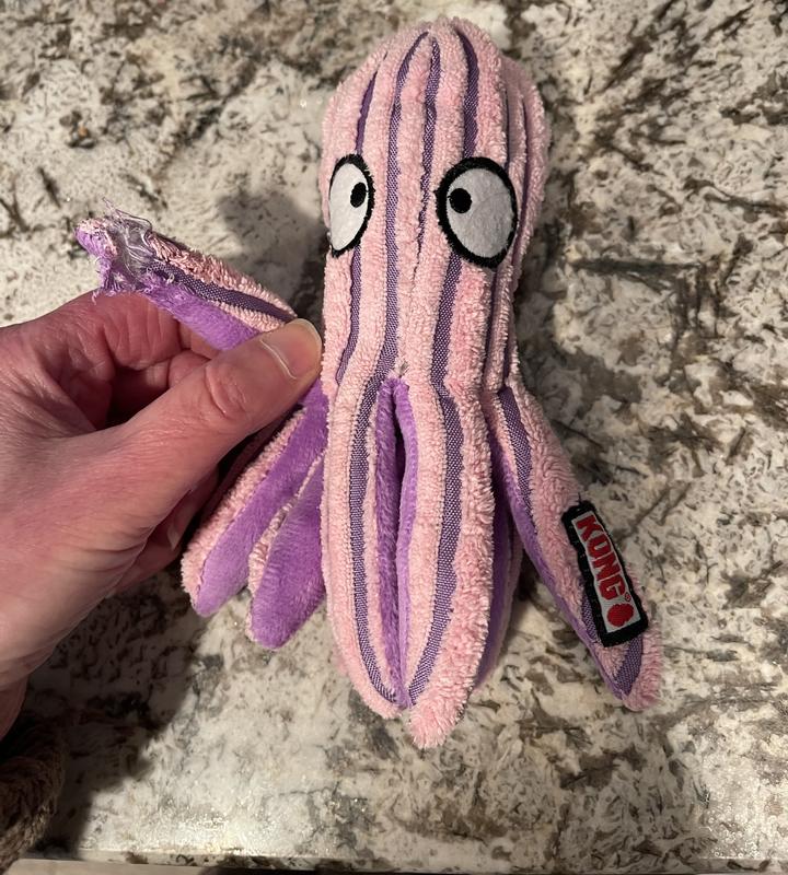 KONG CuteSeas Octopus Dog Toy, Large - Chewy.com