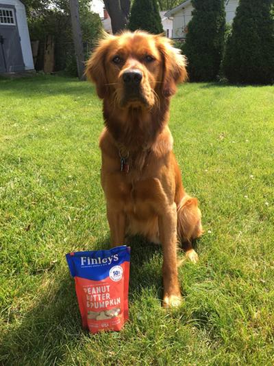 FINLEY'S BARKERY Wheat-Free Apple & Cinnamon Crunchy Biscuit Dog Treats ...