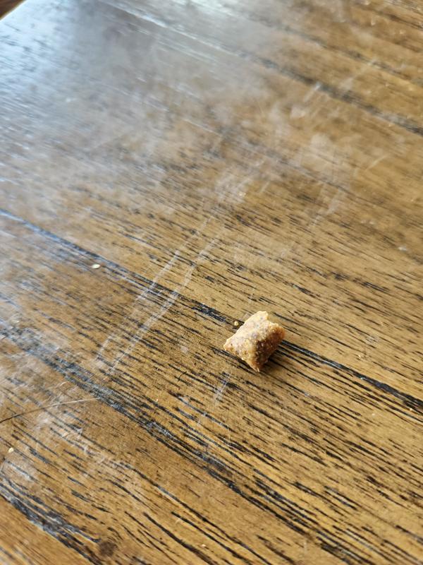 TINY TIGER Chicken Chompers Flavor Filled Crunchy Cat Treats, 16-oz bag ...