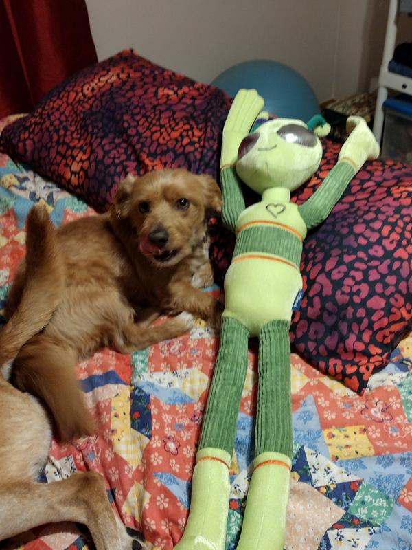 FRISCO Halloween Alien Wagazoo Plush Squeaky Dog Toy, Extra Long, Large ...