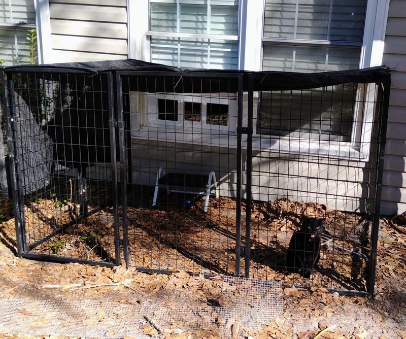 IDEAL PET PRODUCTS Sash Window Flap Cat Door, 33-38 inches - Chewy.com