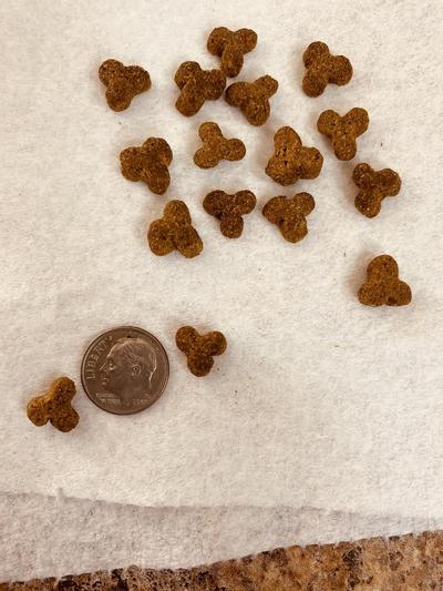 What is the size of the kibble of Dr Gary's Best Breed Holistic GF All ...