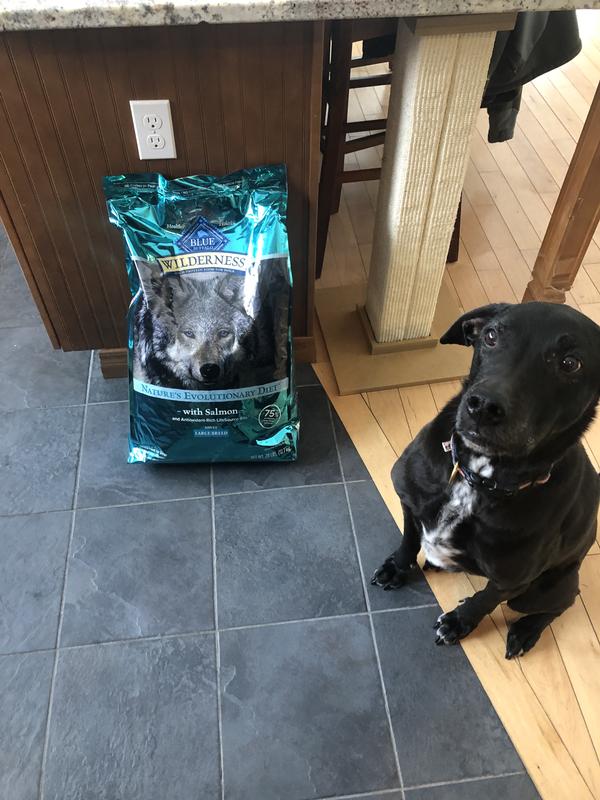 BLUE BUFFALO Wilderness Large Breed Adult High Protein Natural Salmon ...