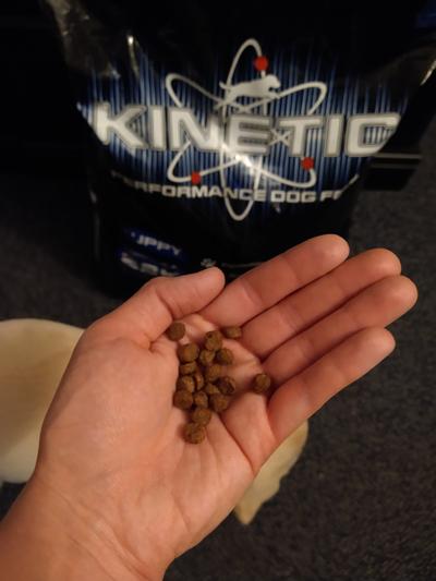 KINETIC Performance Puppy 28K Formula Dry Dog Food, 35-lb bag - Chewy.com