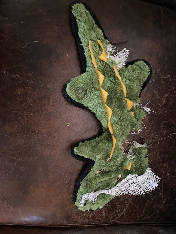 FRISCO Alligator Stuffing-Free Flat Plush Squeaky Dog Toy, Large ...