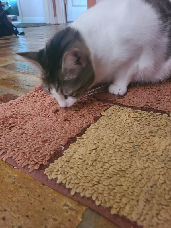 TINY TIGER Chicken Chompers Flavor Filled Crunchy Cat Treats, 16-oz bag ...