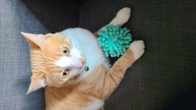 FRISCO Moppy Ball Cat Toy with Catnip, Blue - Chewy.com