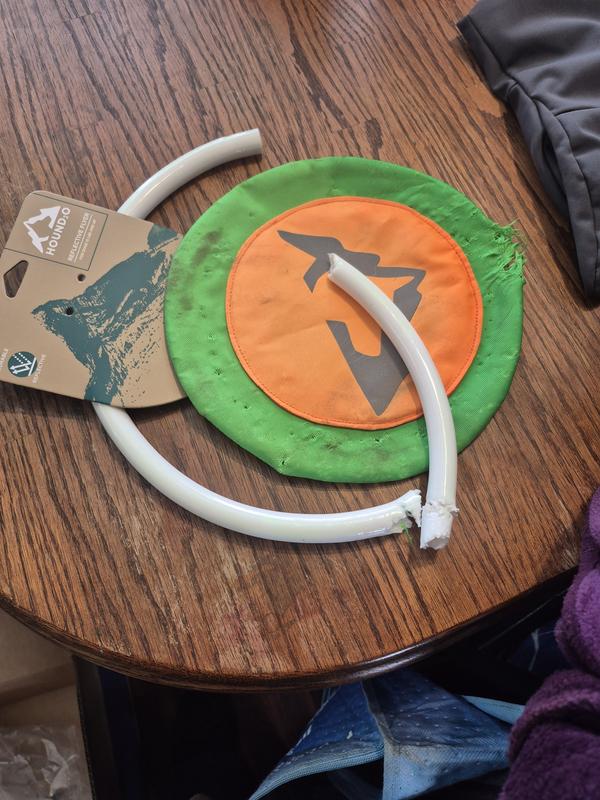 HOUND2O Reflective Flyer Dog Toy, Green, 2 count - Chewy.com