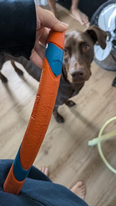 CHUCKIT! Ultra Fetch Stick Dog Toy - Chewy.com