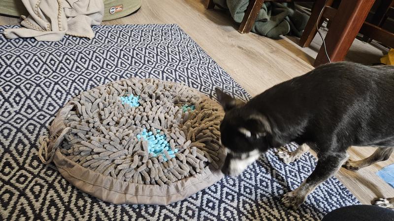 PET PARENTS Forager Snuffle Mat & Slow Feeder Dog Bowl, Forest Grey ...