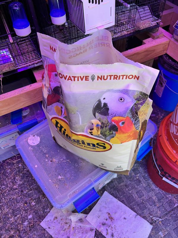 HIGGINS Protein Egg Bird Food, 5-oz bag - Chewy.com