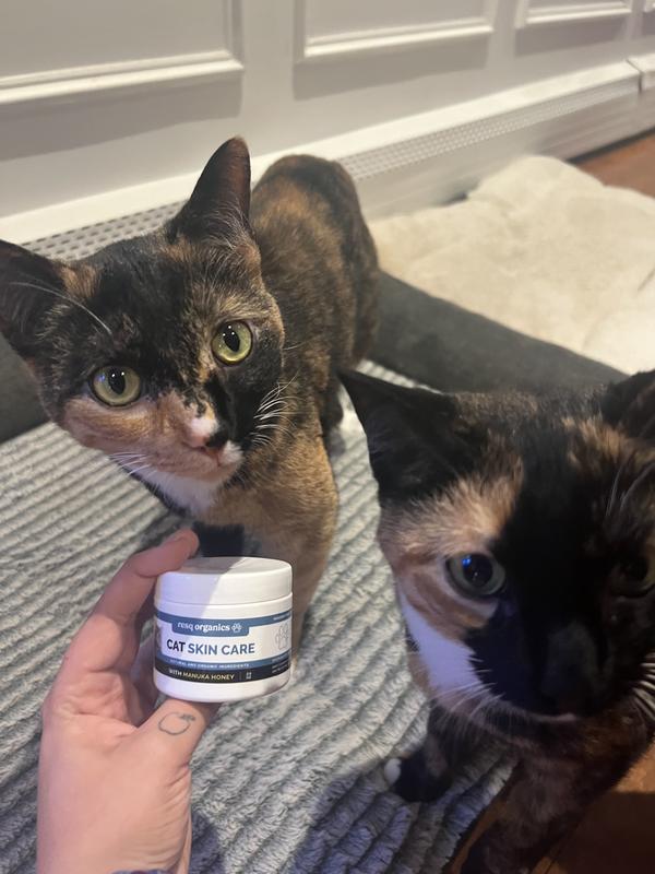 RESQ ORGANICS Cat Skin Care Balm, 8-fl oz jar - Chewy.com
