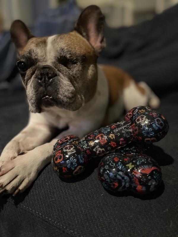 PIXAR Coco TPR Bone Squeaky Dog Toy, 2 count - Chewy.com