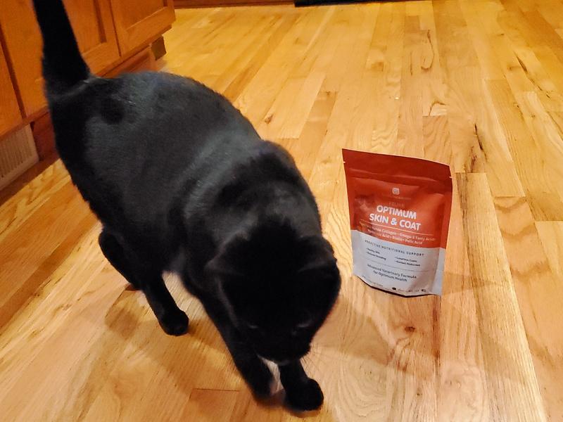 DR. BILL'S PET NUTRITION Feline Optimum Skin & Coat Cat Supplement, 180 ...