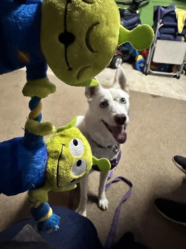 PIXAR Aliens Plush with Rope Squeaky Dog Toy - Chewy.com