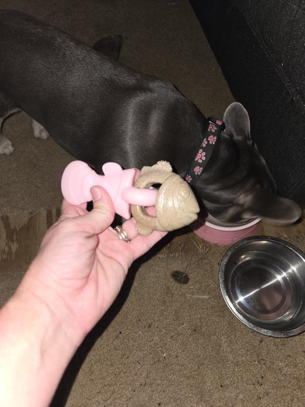 FRISCO Salmon Flavored Interlocking Fish Nylon & TPR Dental Teether ...