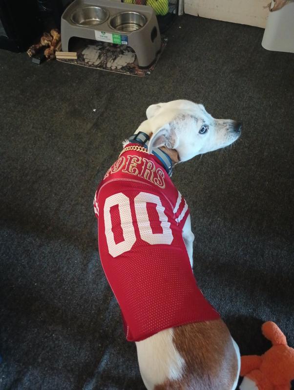 PETS FIRST NFL Dog & Cat Jersey, Buffalo Bills, X-Large - Chewy.com