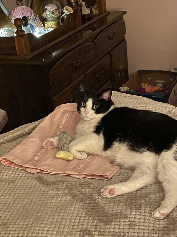 CATSTAGES Toss 'N Twinkle Plush Cat Toy with Catnip, 3 count - Chewy.com