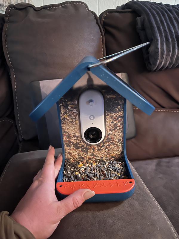 Temporarily Unavailable - BIRD BUDDY PRO Solar Smart Bird Feeder, Blue ...