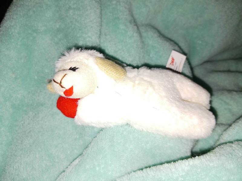 MULTIPET Lamb Chop Plush Cat Toy with Catnip - Chewy.com