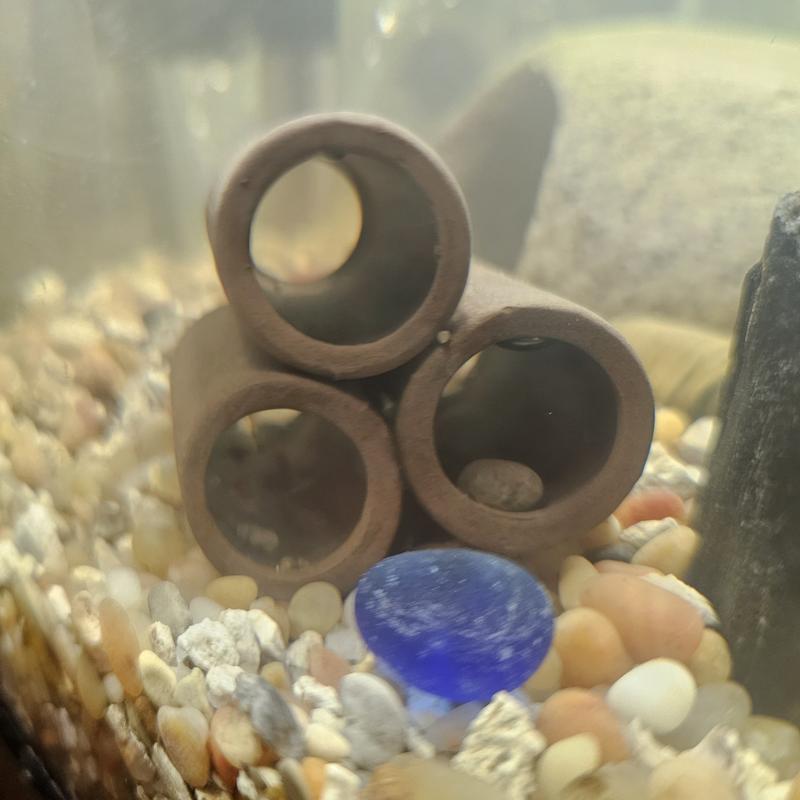 SUNGROW Ceramic Shrimp & Betta Fish Hides for Aquarium, Breeding ...