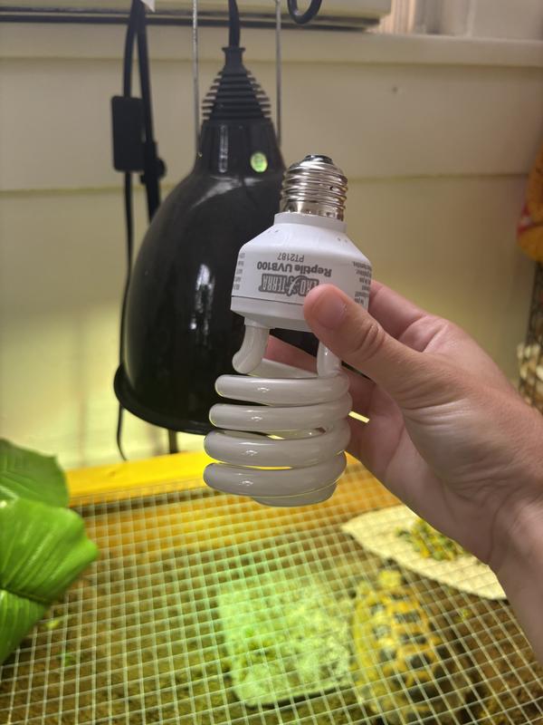 EXO TERRA Tropical UVB 100 Reptile Bulb, 26-w - Chewy.com