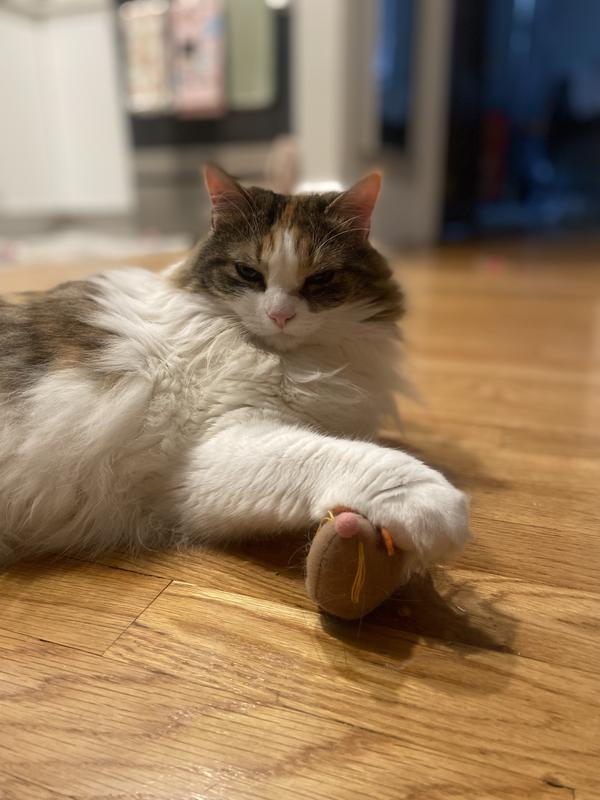 SMARTYKAT Instincts Meandering Mouse Motion Battery Powered Plush Cat ...