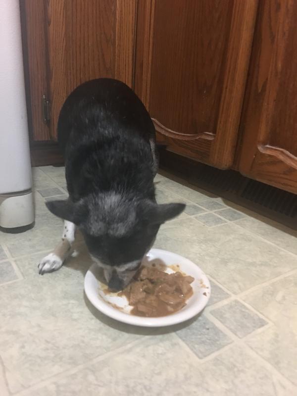 MERRICK Kitchen Comforts Healthy Grains Turkey Meatloaf with Brown Rice ...