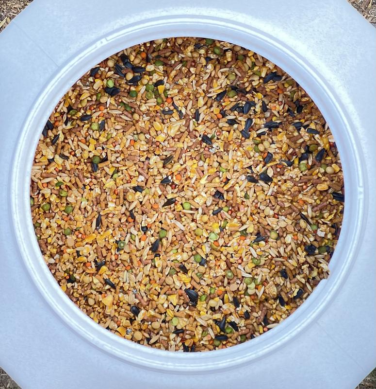 KALMBACH FEEDS All Natural Henhouse Reserve 17% Protein Premium Layer ...