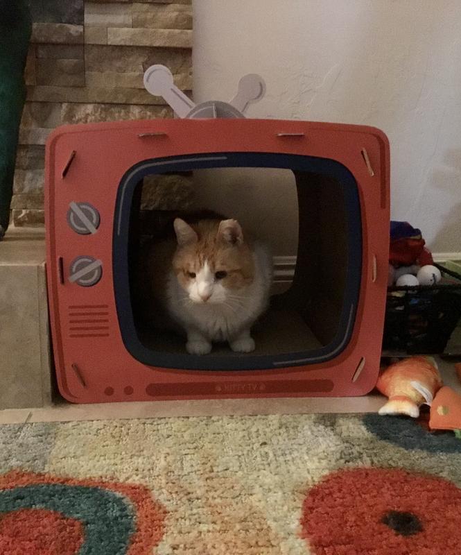 FRISCO TV Set Cardboard Cat House - Chewy.com