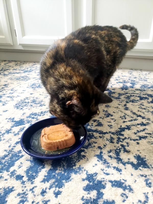 TEMPTATIONS Pate in Gravy Flavor Variety Wet Cat Food, 3.5-oz tray ...