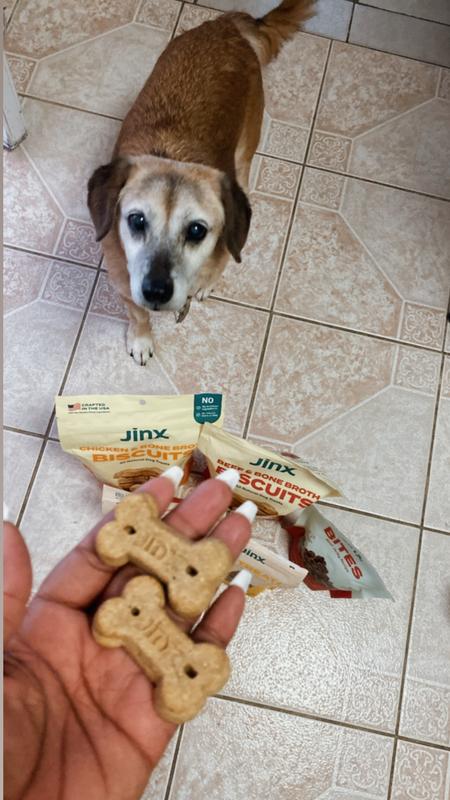 JINX Chicken & Bone Broth Biscuits Crunchy Dog Treats, 16-oz bag ...
