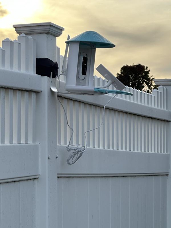 BIRDFY Smart Bird Feeder Camera Solar Panel & AI Lifetime Free, Blue, 1 ...