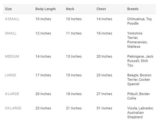 How to measure dog size | Chewy.com