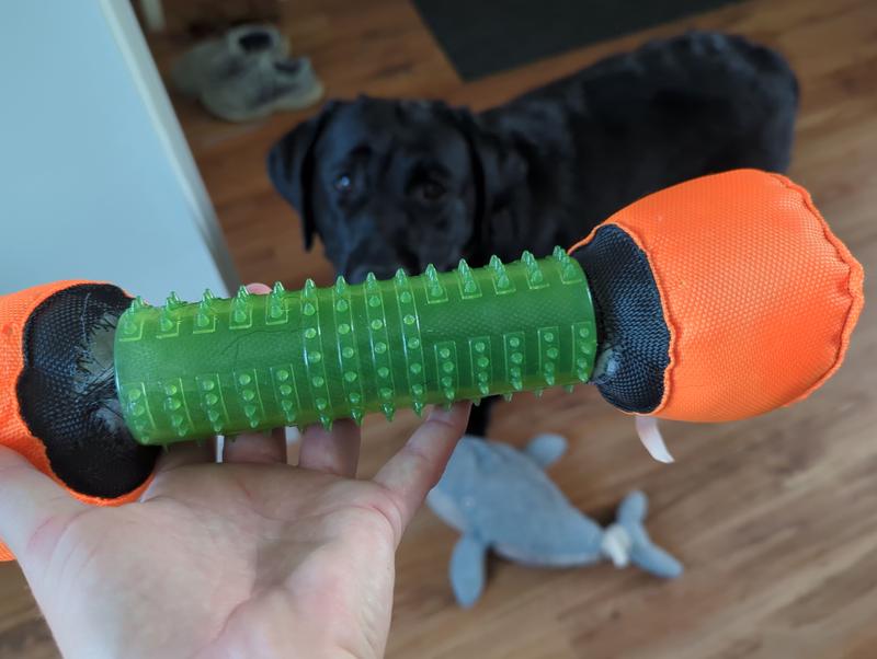 PET LIFE Hoist-a-Fetch Floating Fetch Dental Dog Toy, Orange/Yellow ...