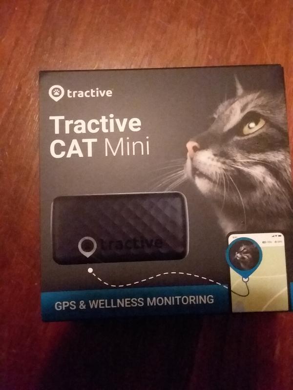 TRACTIVE Cat Mini GPS Tracker & Activity Monitor, Black - Chewy.com