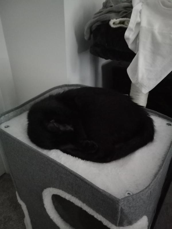 YITAHOME 2-Level Cat House with Scratching Post, Grey - Chewy.com