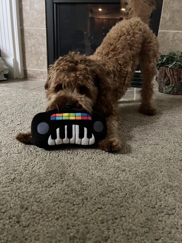 BARK Wonder Keyboard Squeaky Plush Dog Chew Toy, Small/Medium - Chewy.com