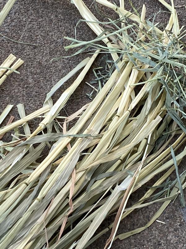 VIKING FARMER Oat Hay for Rabbits & Small Pets, 5-lb - Chewy.com