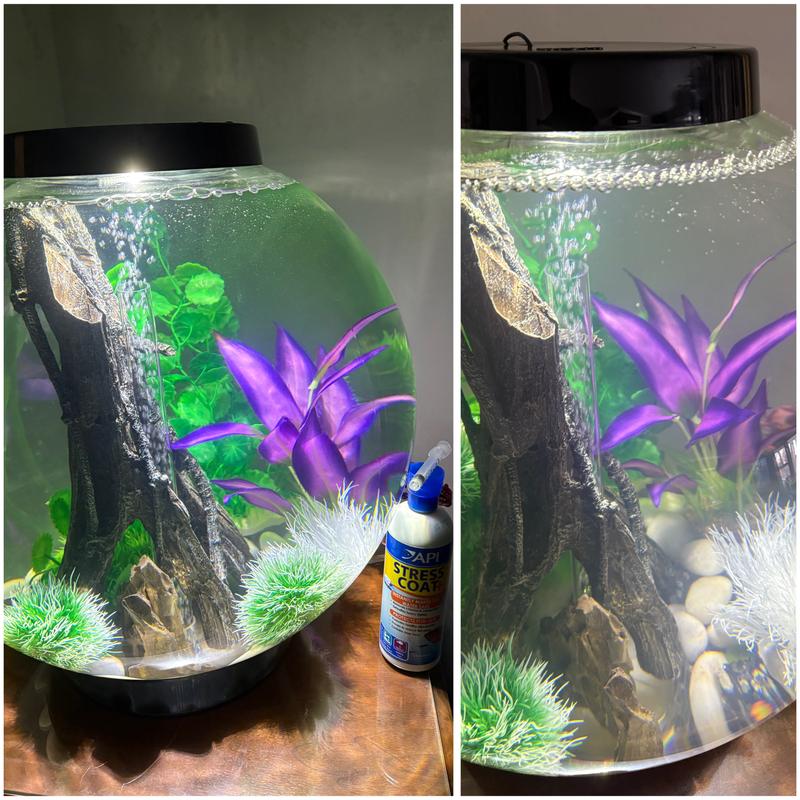 API Accu-Clear Freshwater Aquarium Clarifier, 4-fl oz bottle - Chewy.com