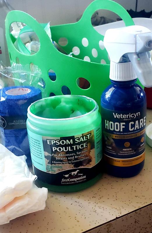 FIRST COMPANION Epsom Salt Horse Poultice, 20-oz - Chewy.com